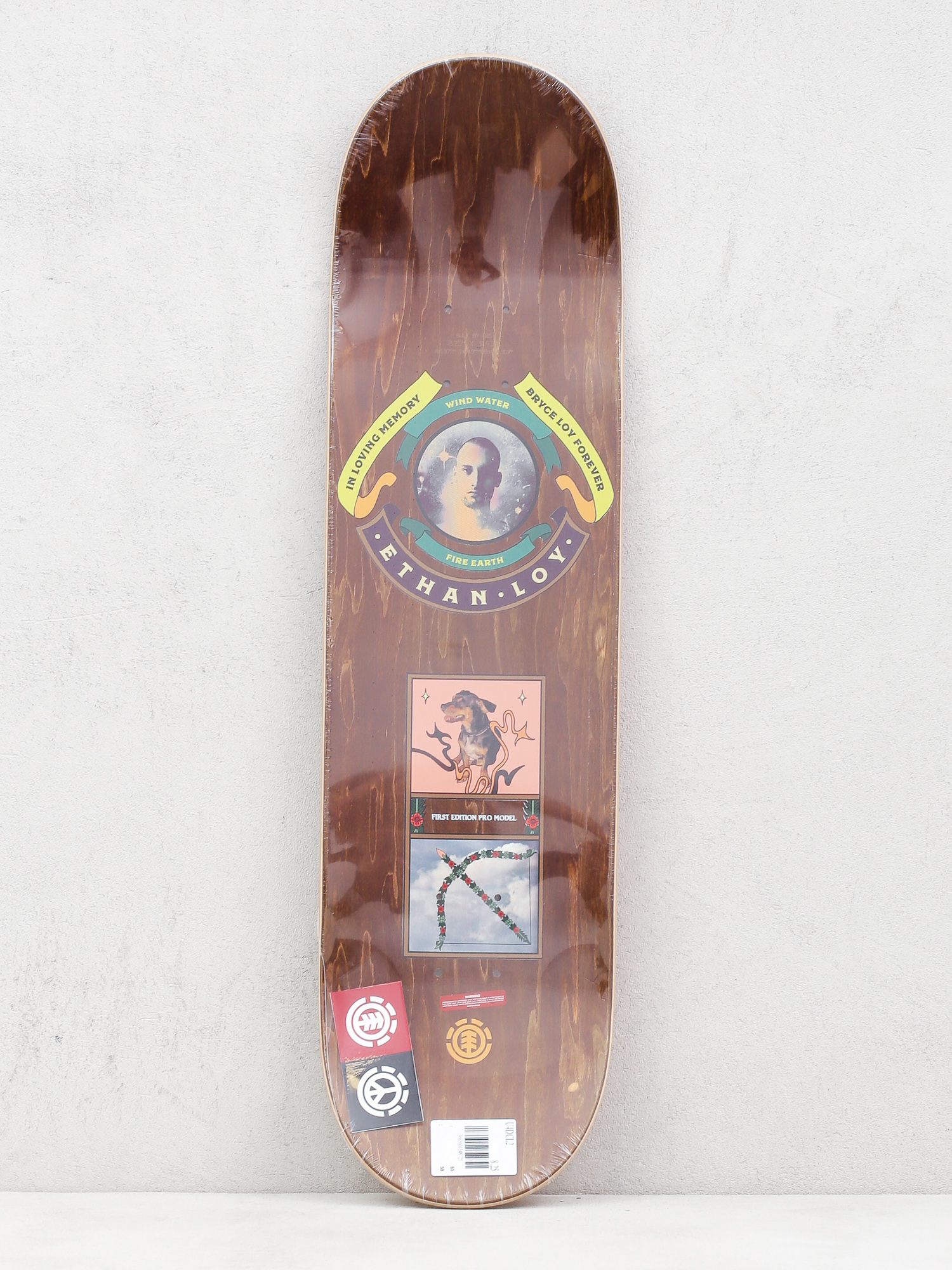 Element Ethan Section Gördeszka lap (assorted)